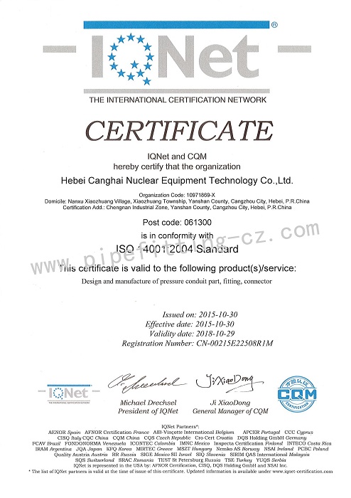 Pipefittings|tube|flanges|industry|pipeline|Canghai Nuclear Equipment